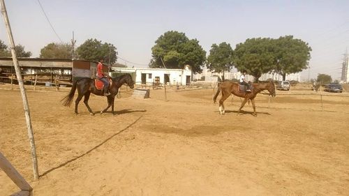Janak Horse Riding Club, Sector 62, Gurgaon - nearbuy.com