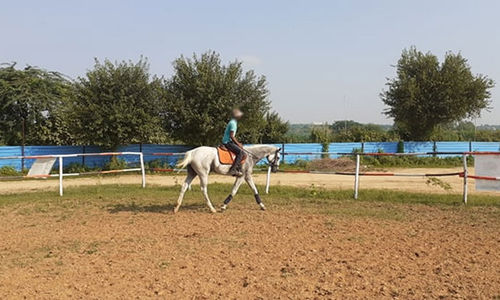 Duke Horse Riding Club, Sector 58, Gurgaon - nearbuy.com