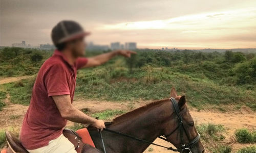 Duke Horse Riding Club, Sector 58, Gurgaon - nearbuy.com
