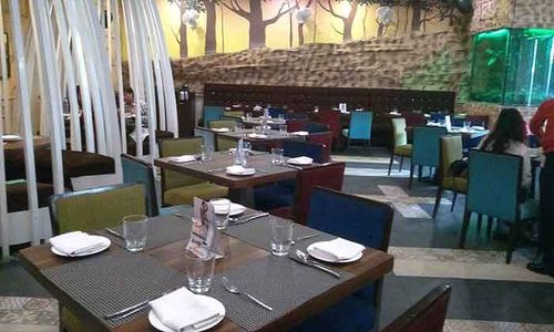 Drool Kitchen Sector 10 Dwarka, New Delhi